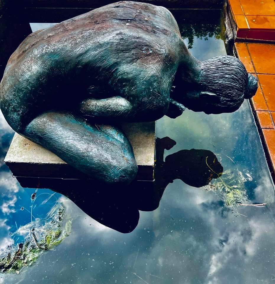 LESERSFOTO | Selfbeeld in water | Netwerk24