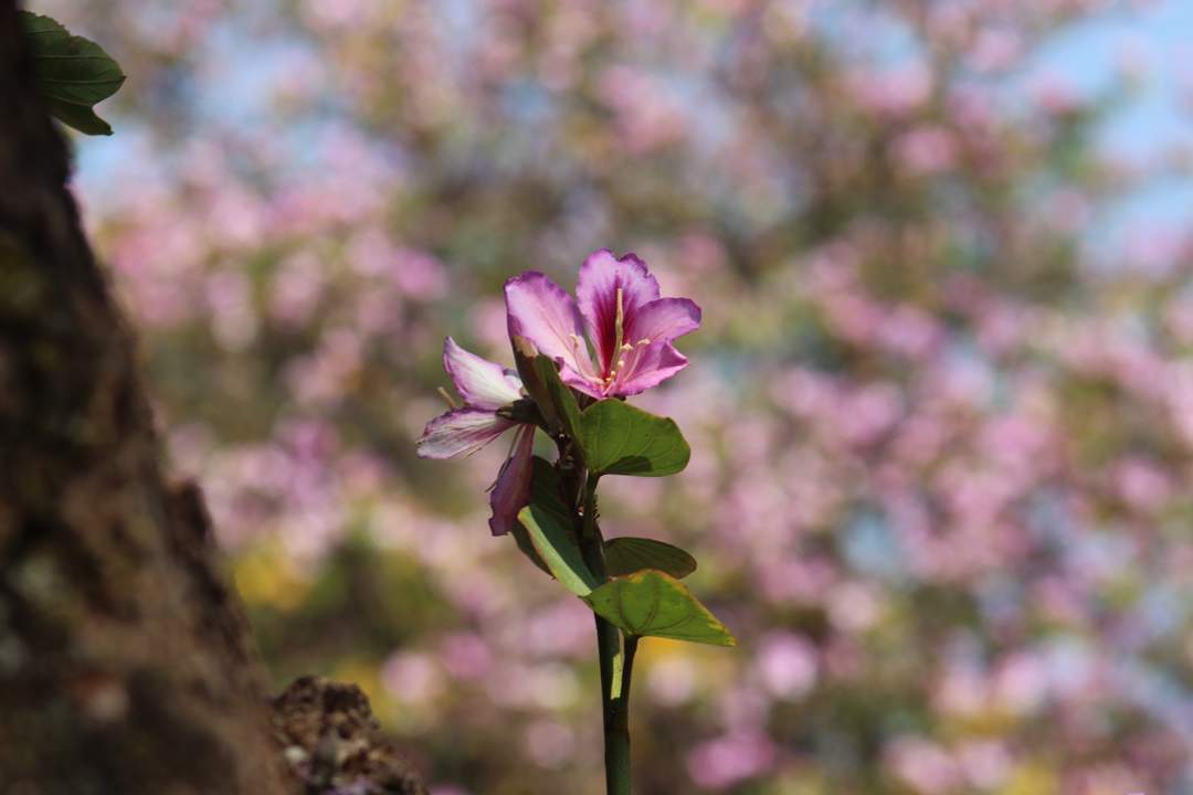 Dis lente, maar kenners waarsku warm, droë weer lê voor | Netwerk24