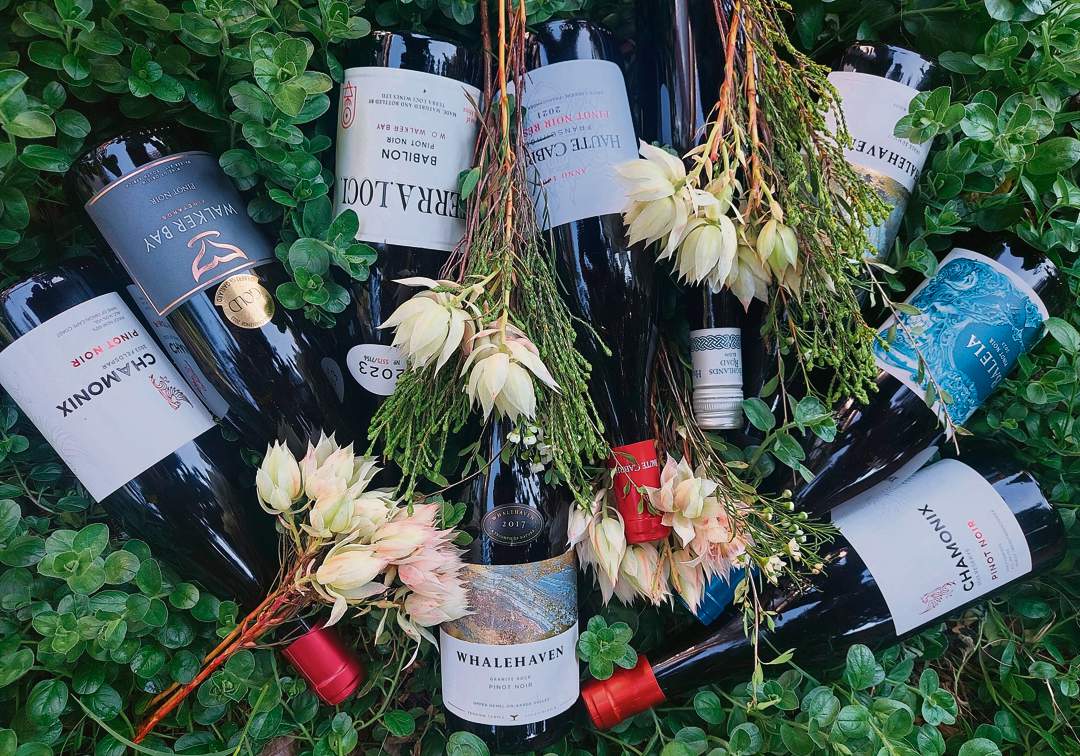 Suid-Afrikaanse pinot noir hoef nie terug te staan, bewys kompetisie ...