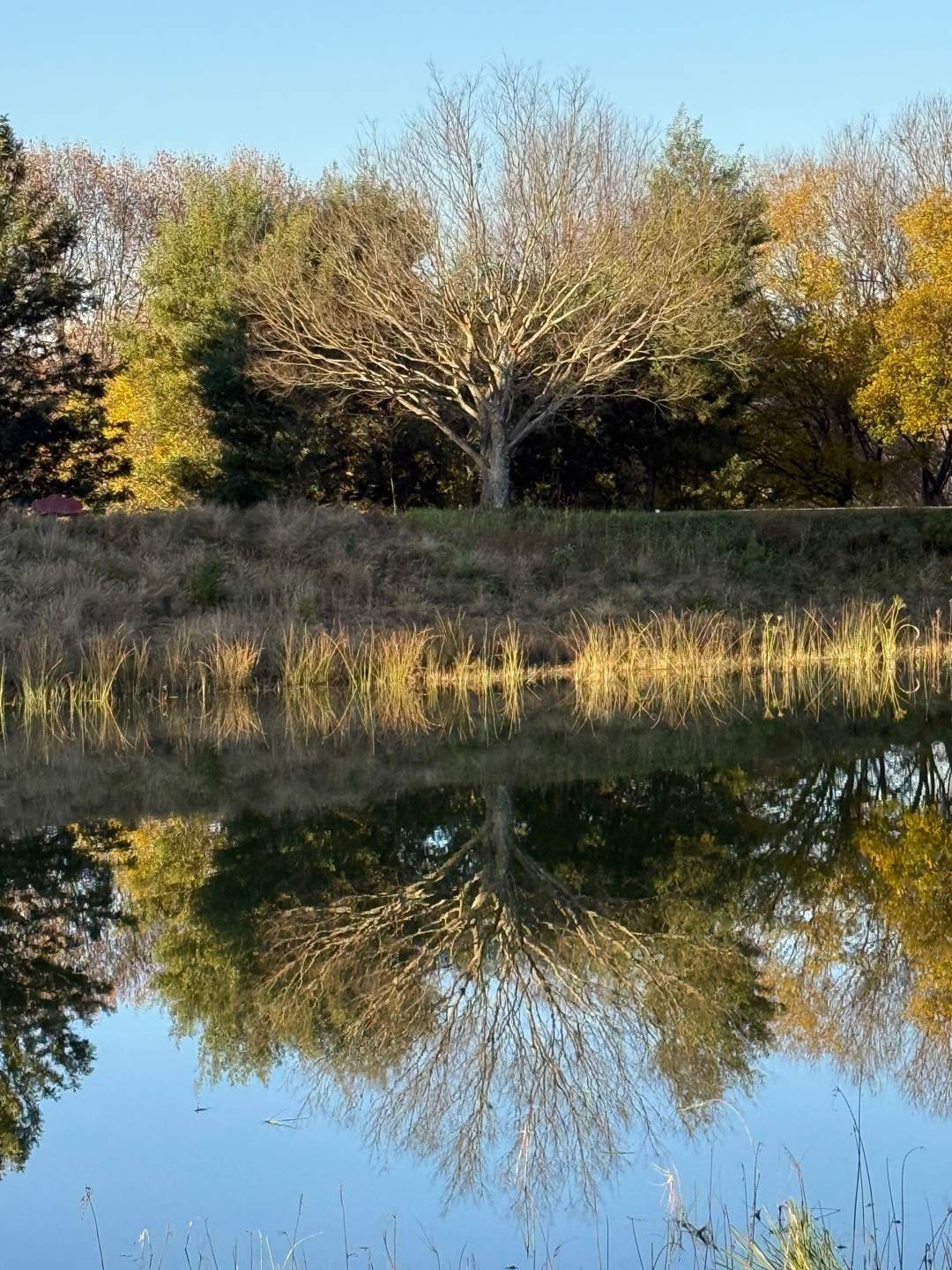 LESERSFOTO | Perfekte weerkaatsing in die Drakensberge | Netwerk24