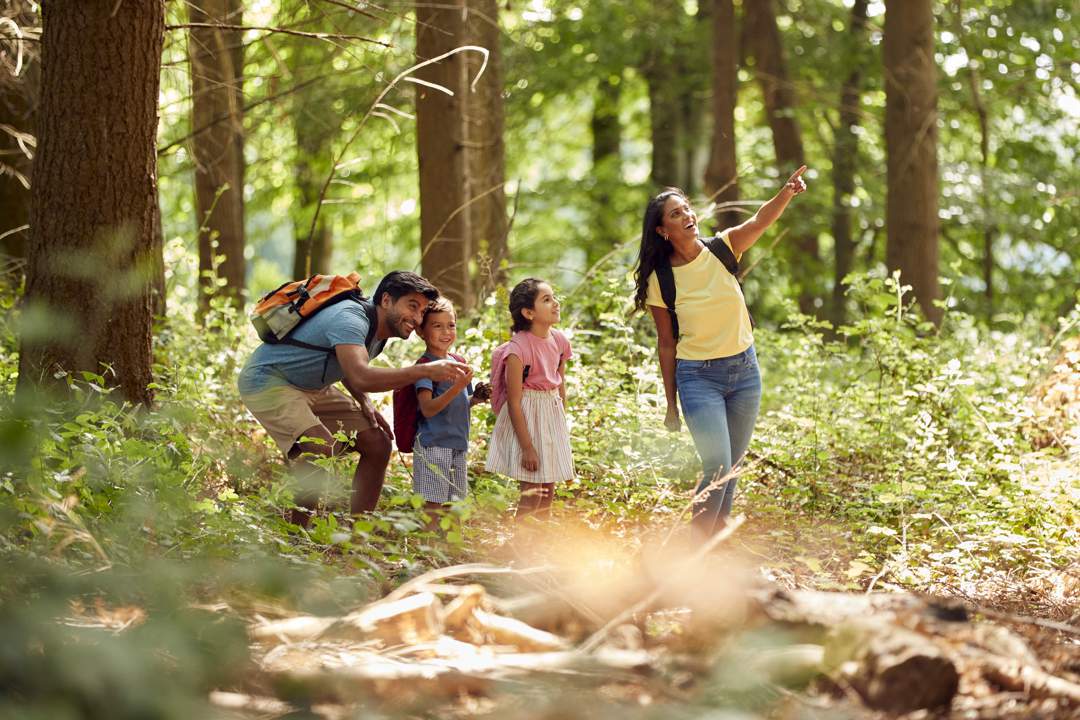 Die natuur ís goed vir jou, sê nóg ’n studie – Leef só nader aan die ...