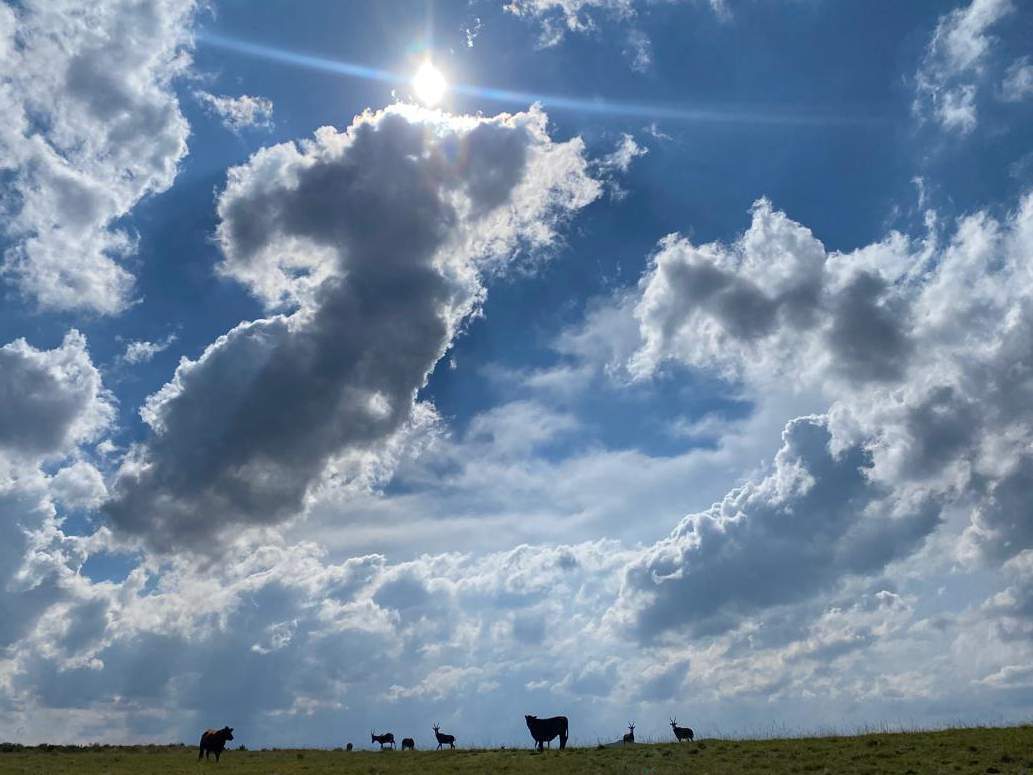 Reën en donderstorms oor groot dele van Vrystaat dié week | Netwerk24