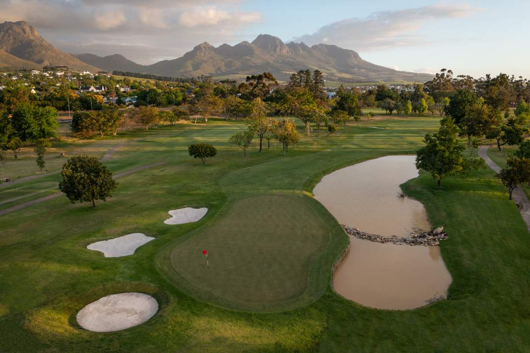 SA Ope: Nuwe bowwe en bome in Stellenbosch sal lae tellings moeilik ...