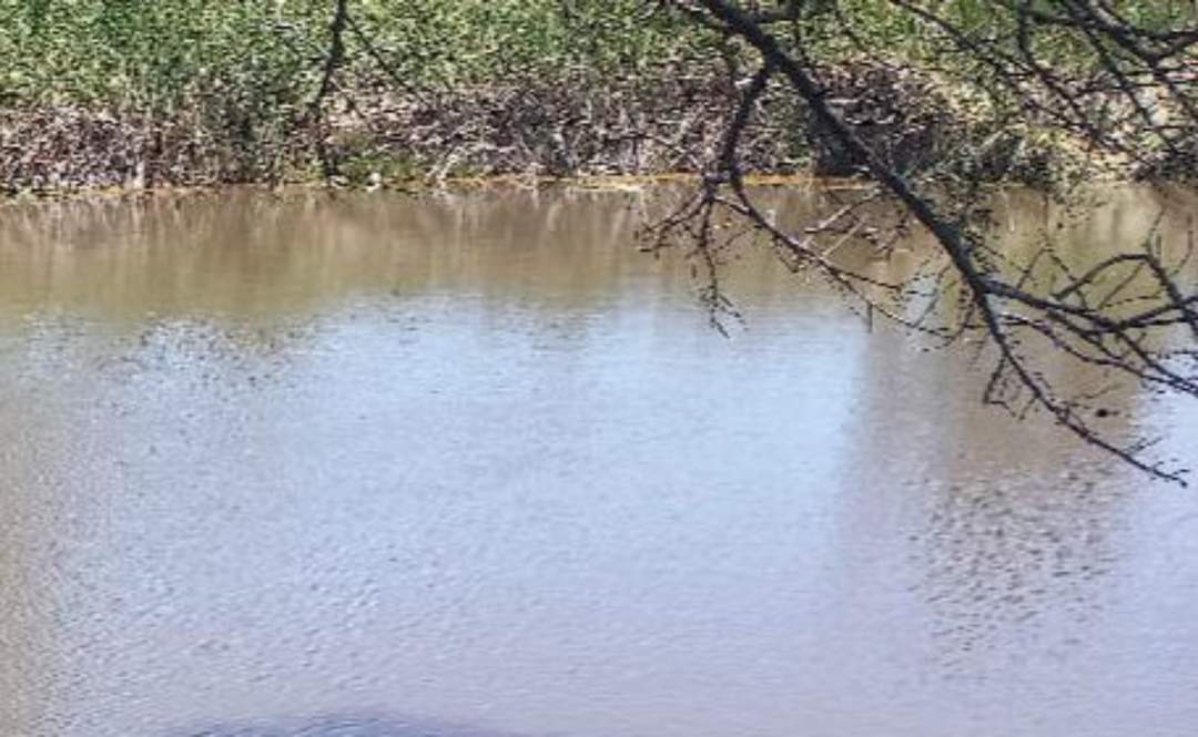 Seun (8) verdrink in dam in Plettenbergbaai | Netwerk24
