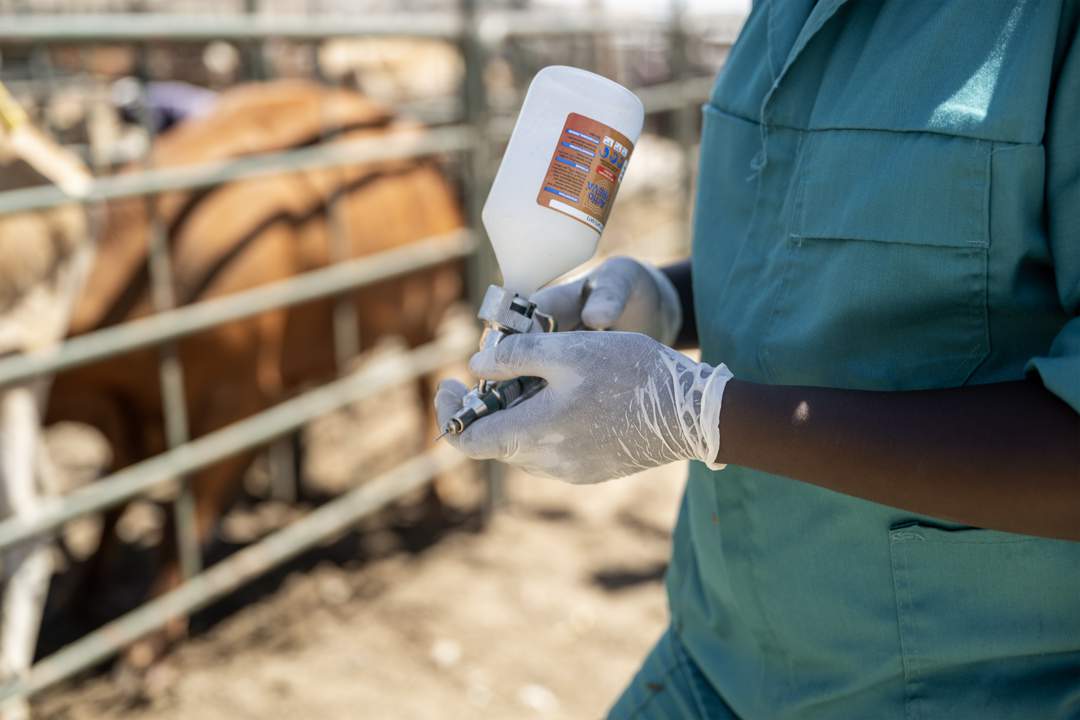 Bek-en-klouseer kos voerkrale tot R120 m. per uitbreking | Netwerk24
