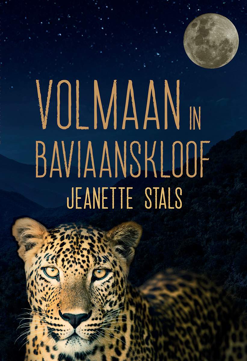 RESENSIE | ‘Volmaan’ ’n dig verweefde woordtapisserie | Netwerk24