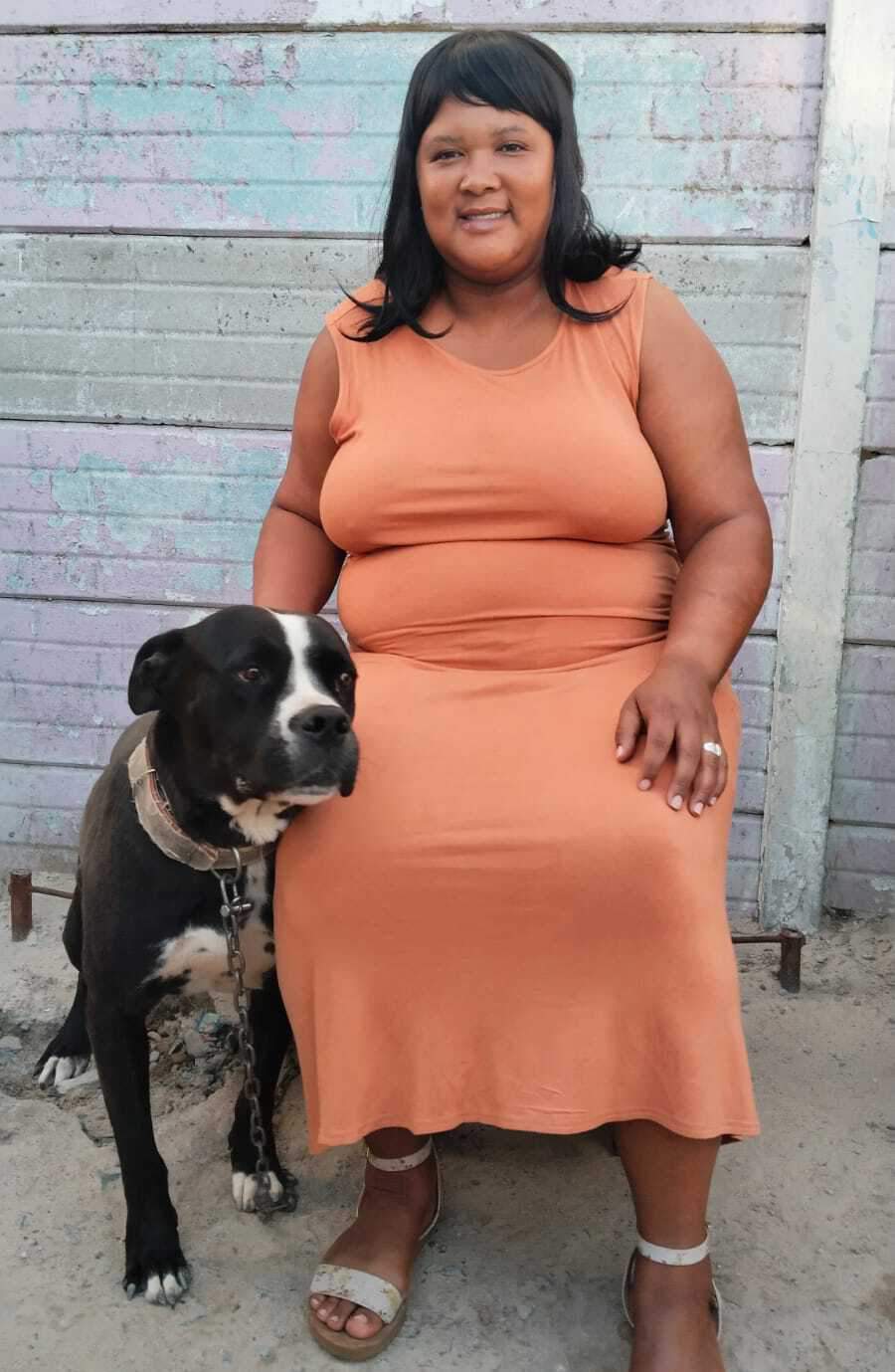 ‘Pitbulls is simbole van mag – is jy séker jy is in beheer?’ | Netwerk24