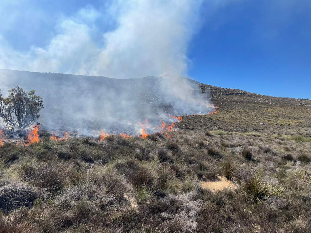 Brand by De Doorns deur wind, plantegroei aangevuur | Netwerk24