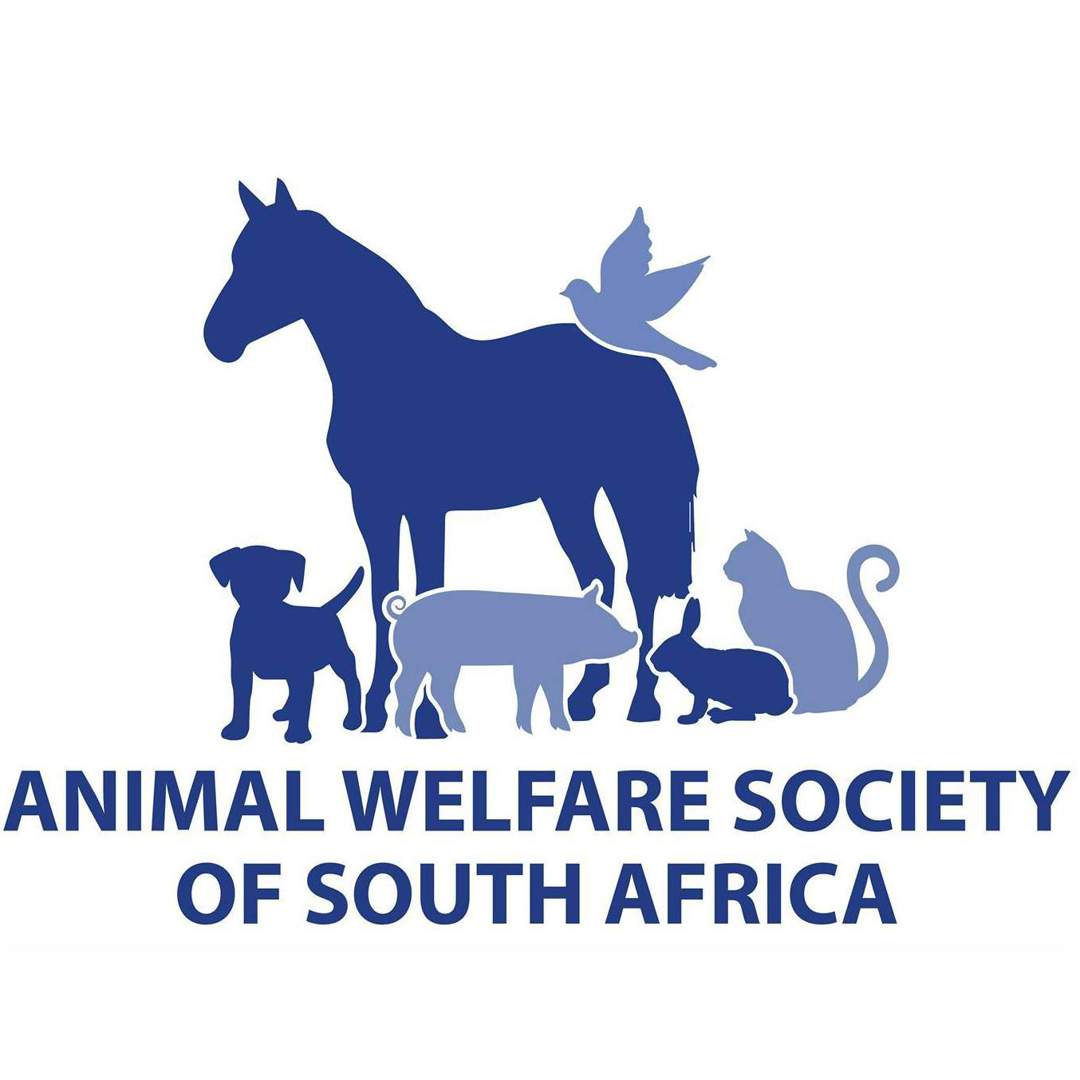 Dooie honde langs Kaapse pad dalk kapers se ‘lokval’, waarsku ...